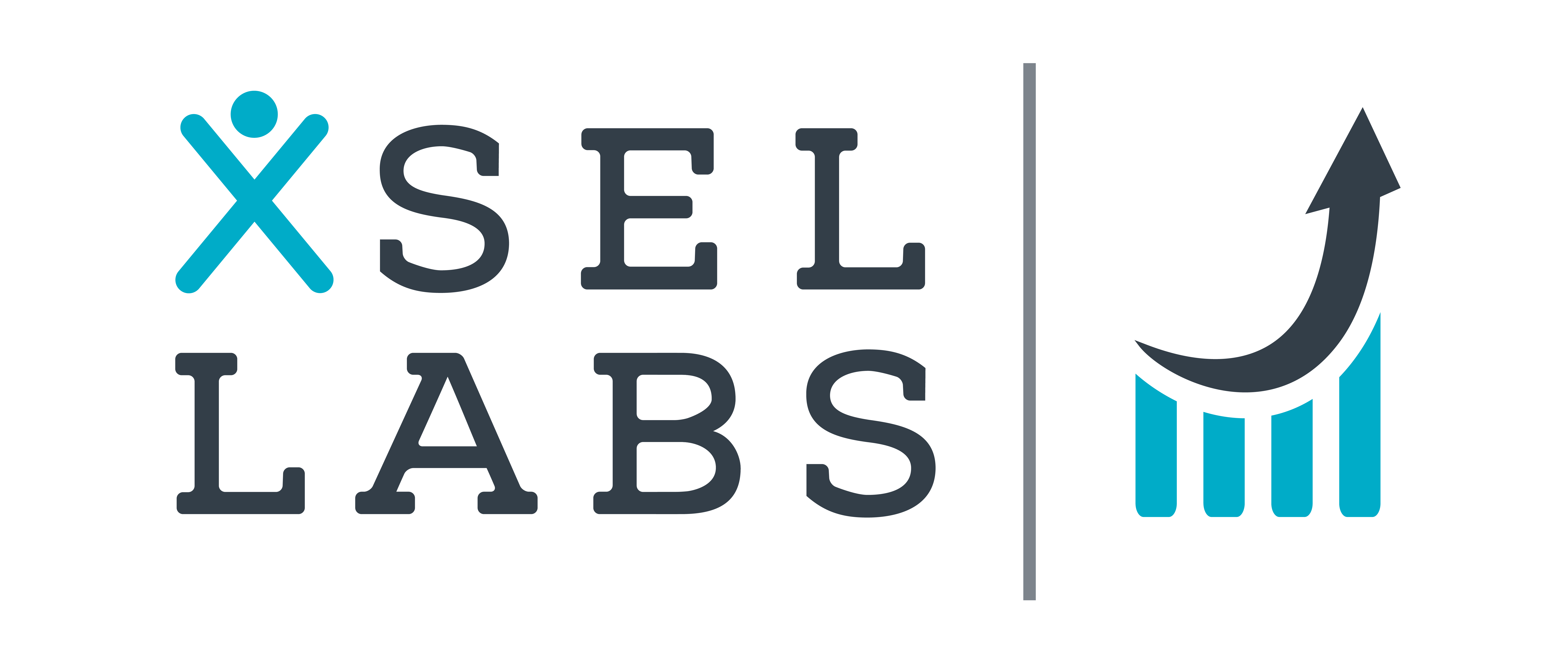 xSEL Labs
